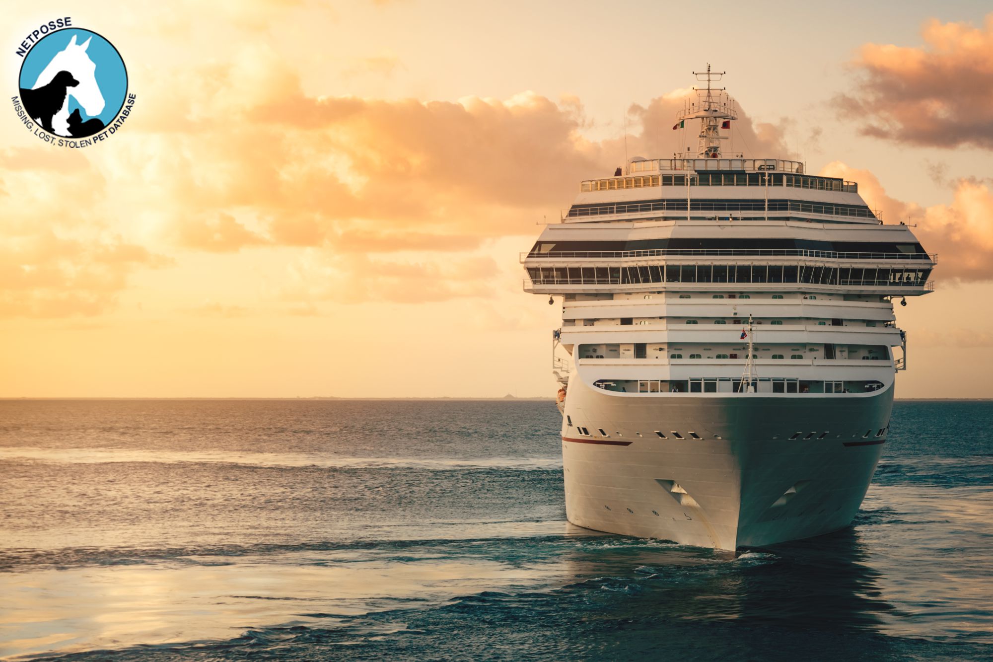Cruise Ship Interest Registered