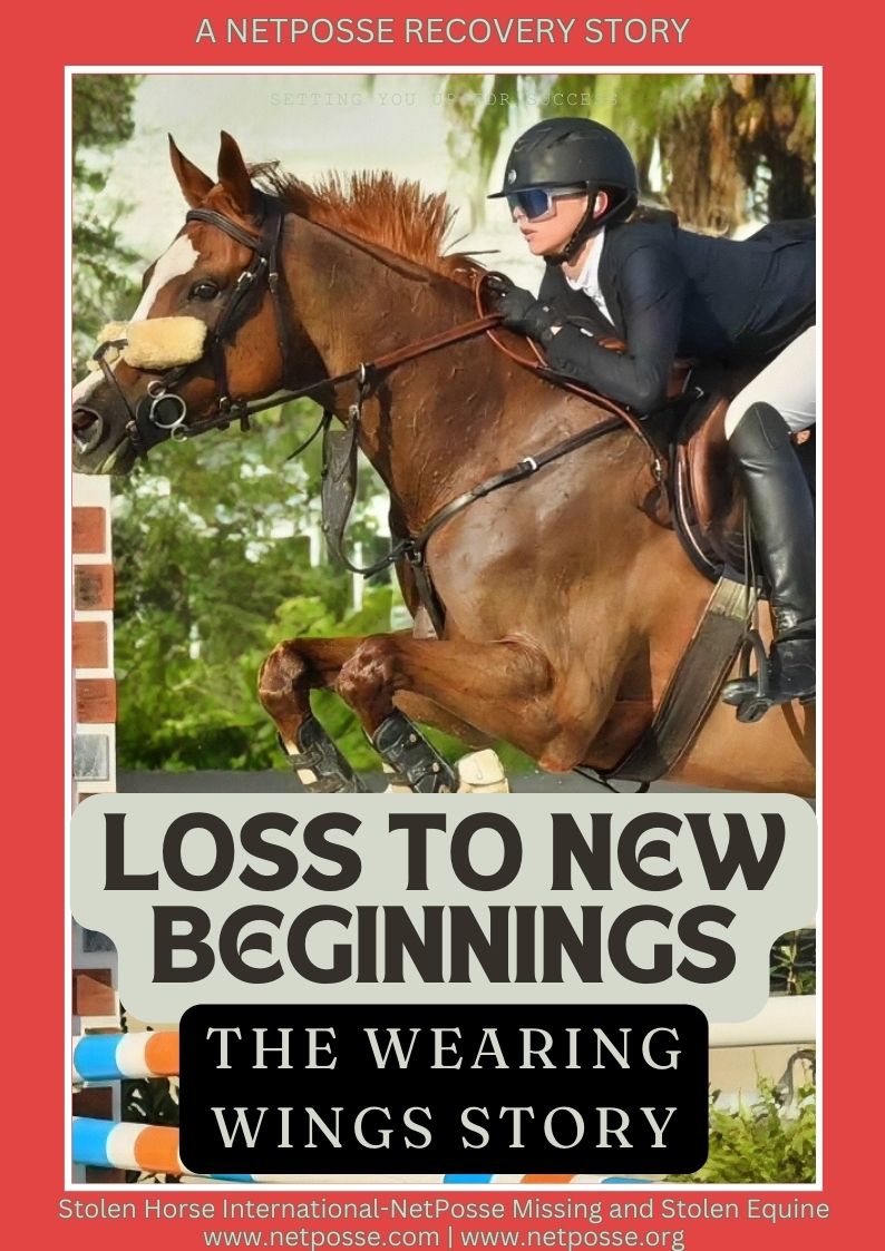 Loss to New Beginnings - Wearing Wing's Story