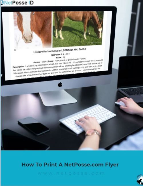 How To Print A NetPosse Flyer