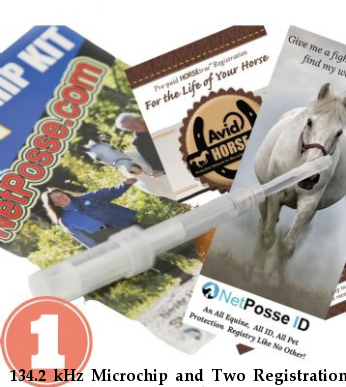 horse microchips