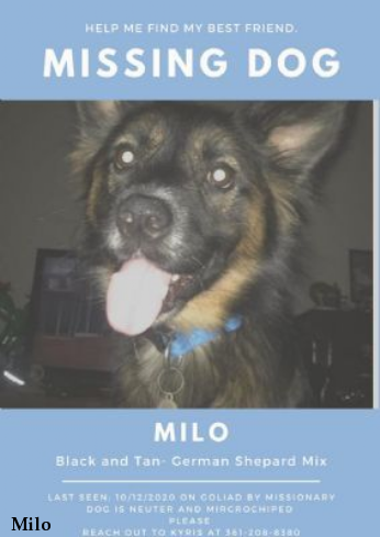 Missing Dog named Milo - Goliad , Tx, 77963 | NetPosse ID #3701